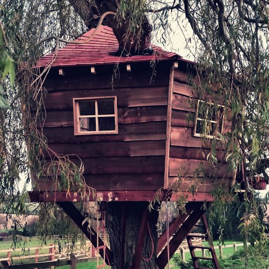 Willow Treehouse – Squirrel Design